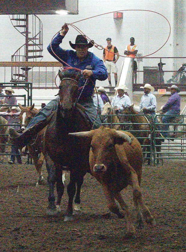 Yee-haw! | News, Sports, Jobs - Minot Daily News